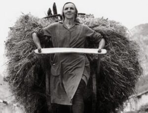 rfvg_cjargne_invito-22_11_2016_ritaglio - Studio Nord News