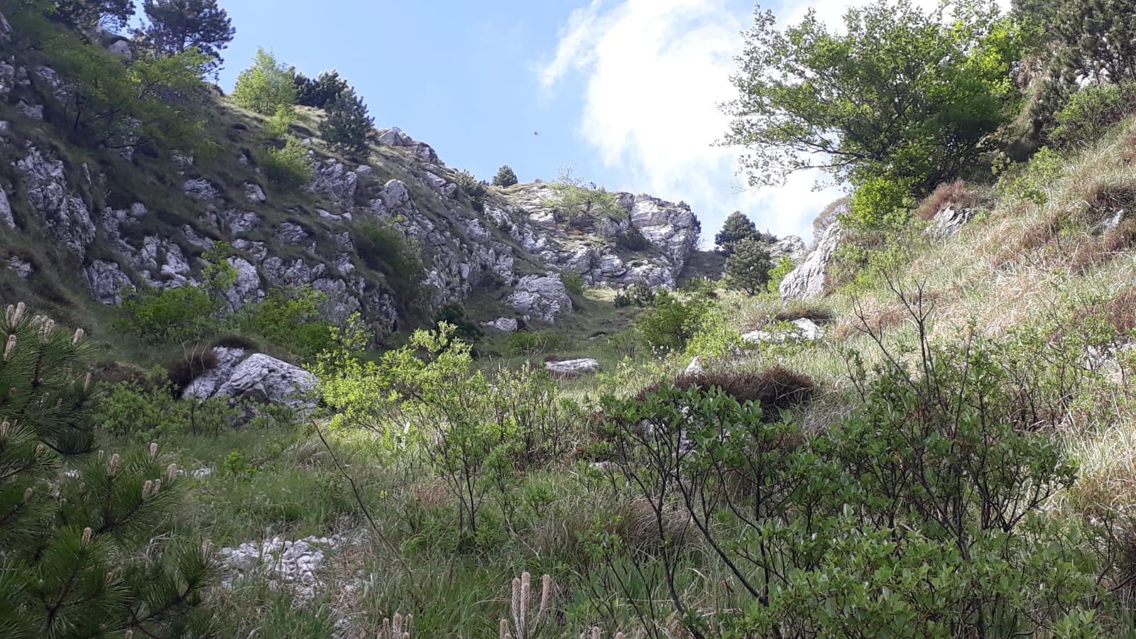 Gemona, escursionista scivola e precipita per un centinaio di metri sul ...