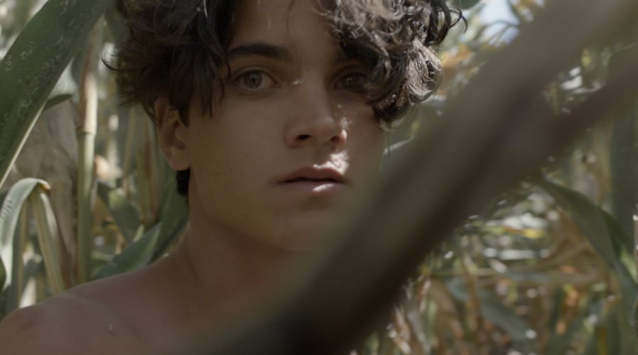 Il Pasolini friulano di "In un futuro aprile" sul circuito digitale # ...