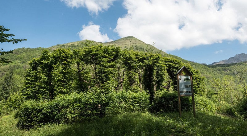 Roccolo del Manganel Montenars - Studio Nord News