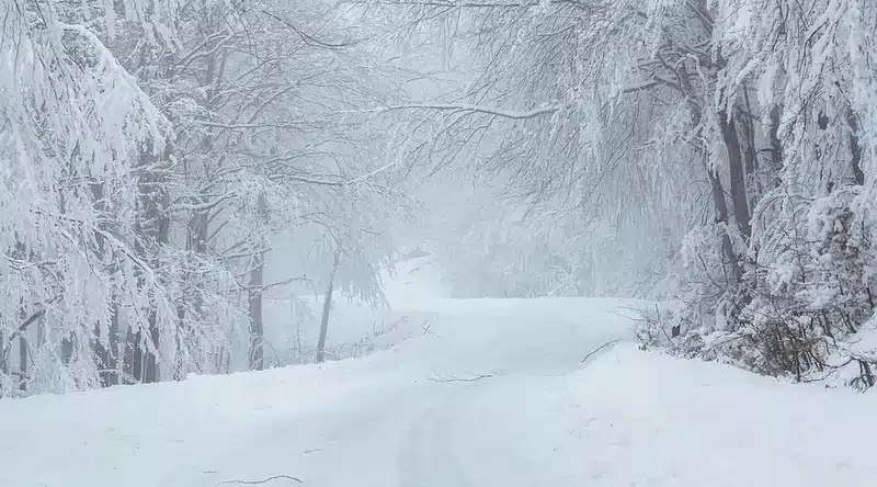 Mezzo metro di neve caduta alle quote più alte in Friuli - Studio Nord News