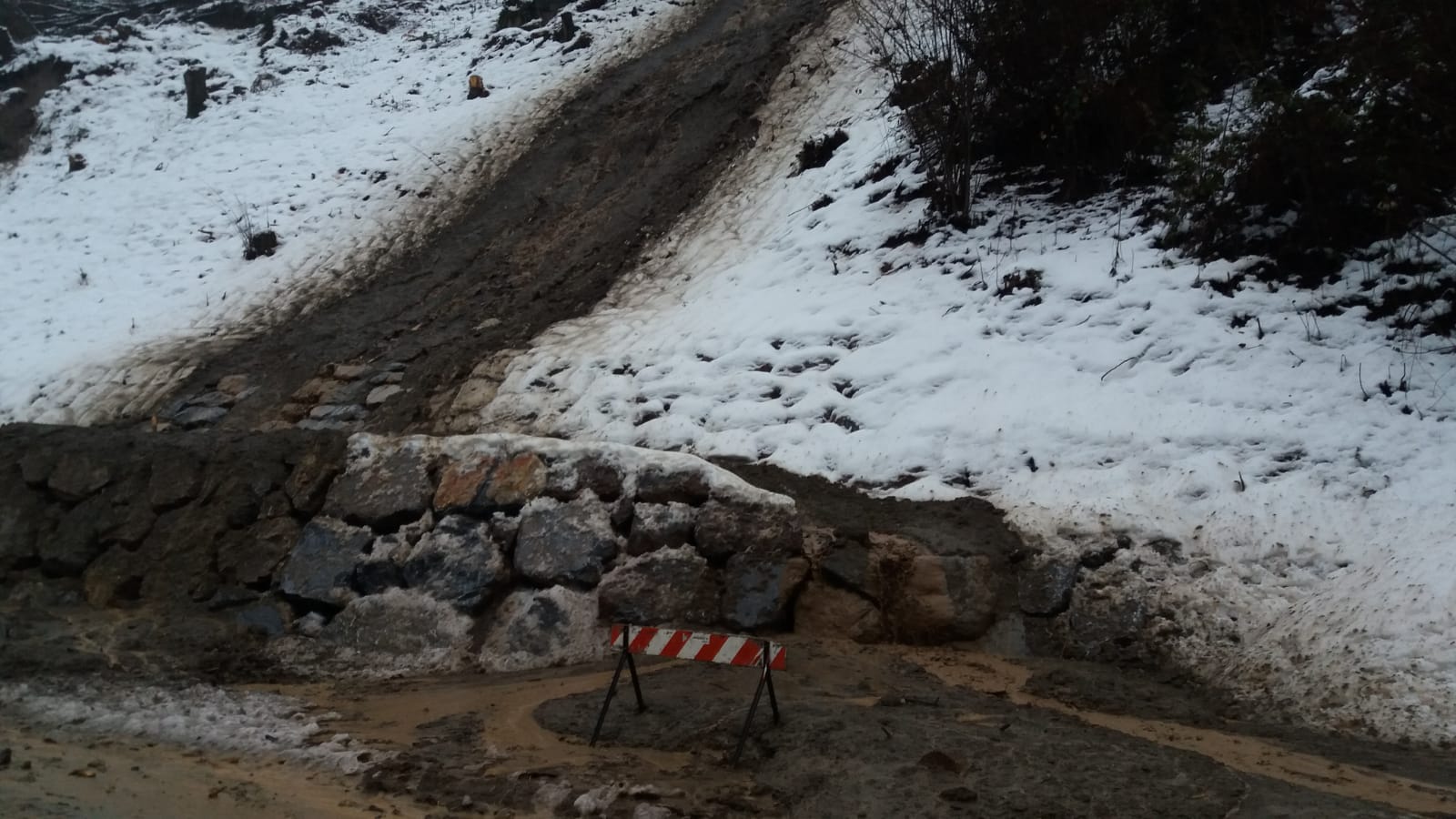 Maltempo, alberi abbattuti, strade chiuse e vento forte in tutto il Fvg ... Maltempo, alberi abbattuti, strade chiuse e vento forte in tutto il Fvg ...
