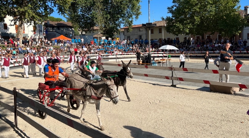 Rinnovata a Fagagna la tradizione della Corsa degli Asini - Studio Nord ...