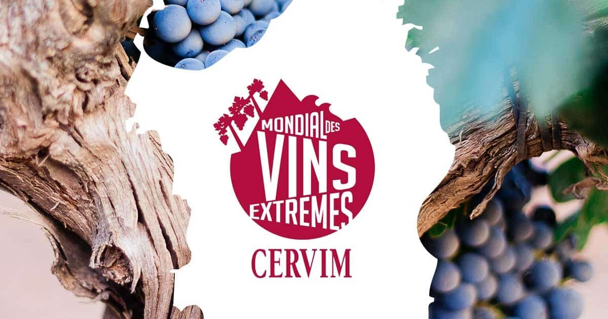 Il PriMo 2022 di Forni di Sotto vince il concorso internazionale dei ...