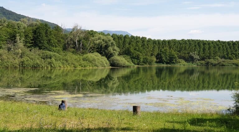 Con la "Magnalonga" alla scoperta delle bellezze e delle bontà di ...
